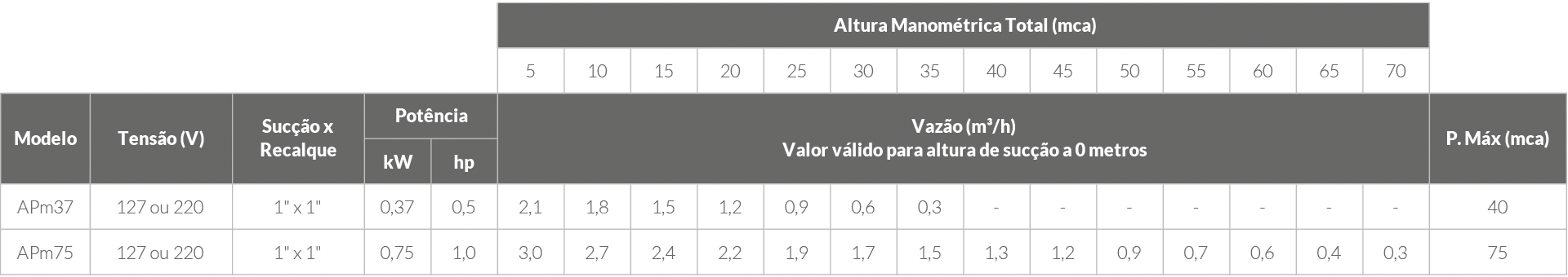 Motobomba Periférica APm-75 Lepono 1 cv 220V – Hidromotores